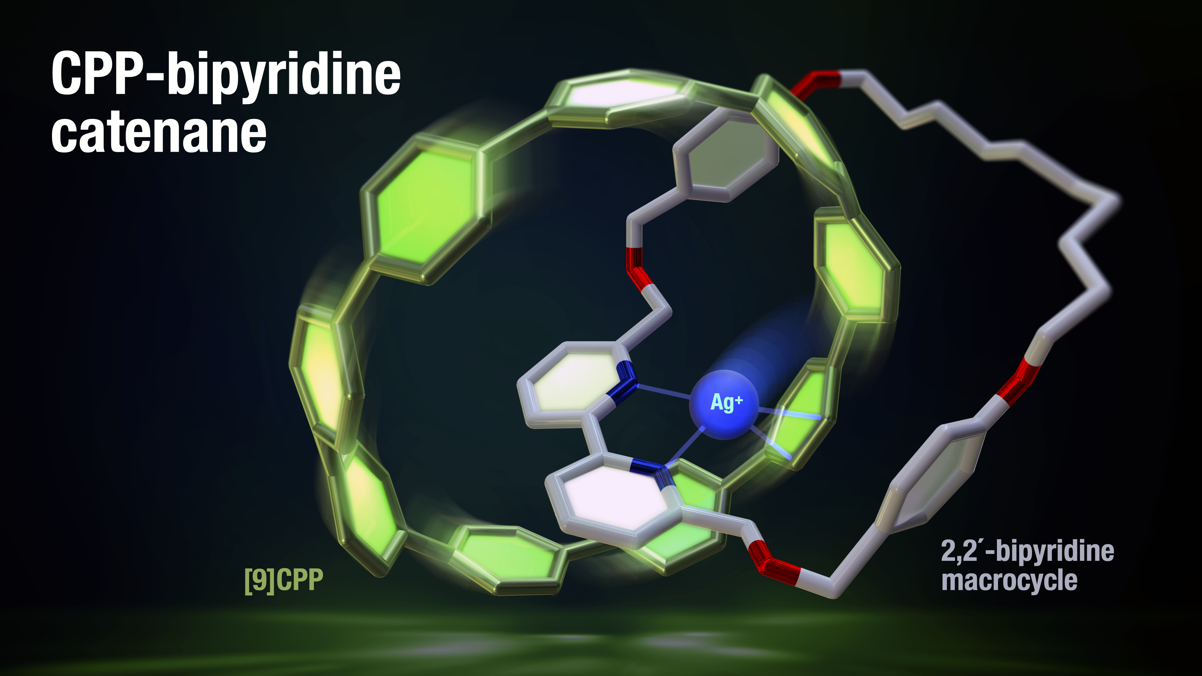 CPP-bipyridine catenane | Itami Molecule Creation Laboratory, RIKEN